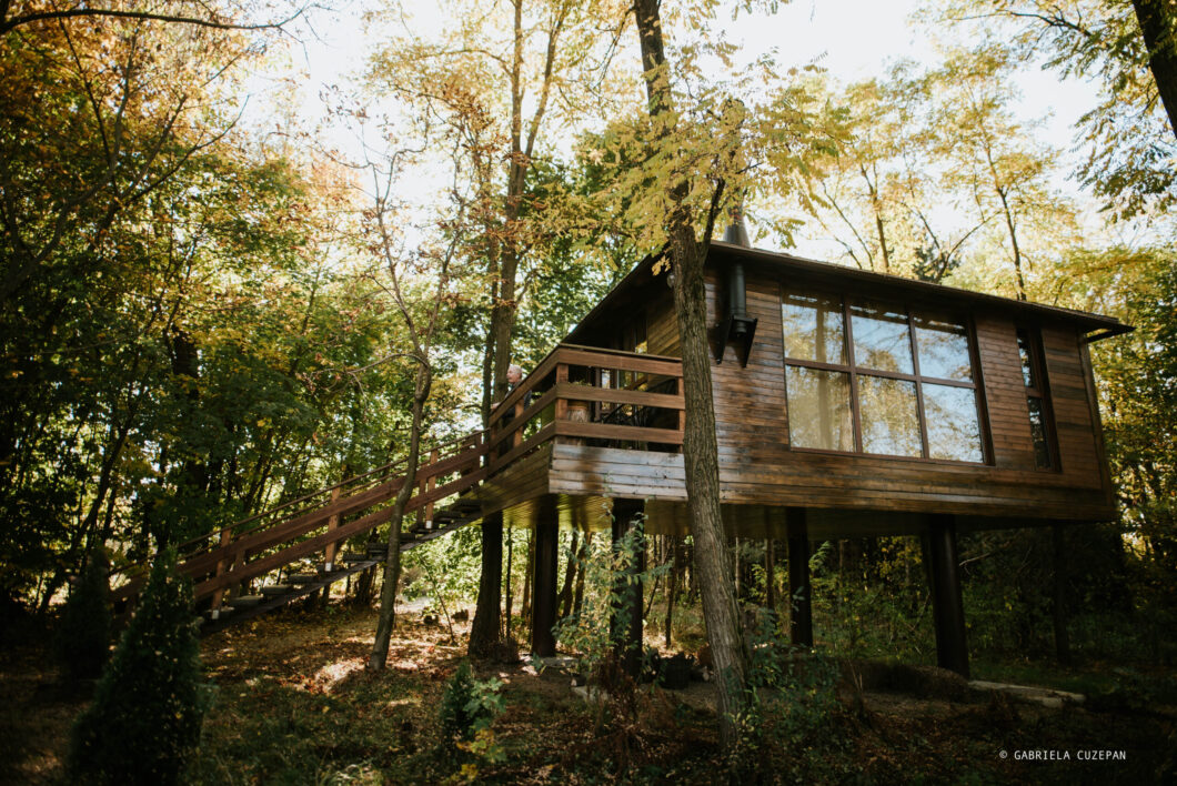 11 căsuțe în copac din România - Borderless