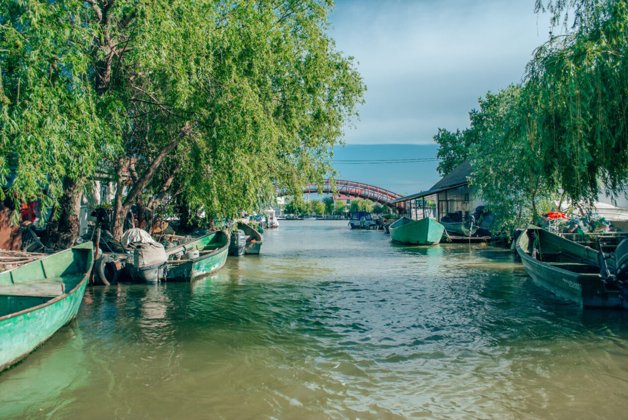 Sulina. O carte de vizită prăfuită - Borderless